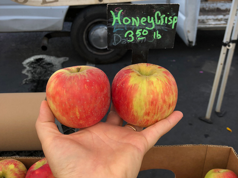 Tales of the Flowers: Apple Taste testing with Theresa