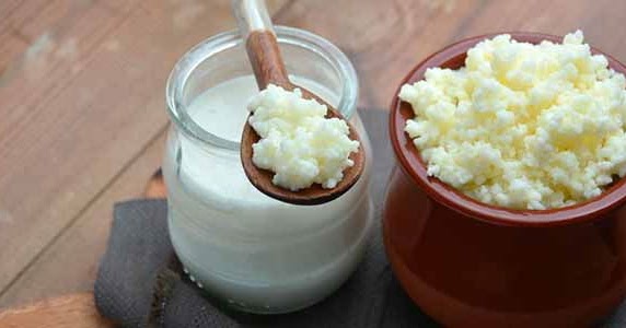 La Bibbia del Kefir. - Scie Chimiche: Informazioni Corrette