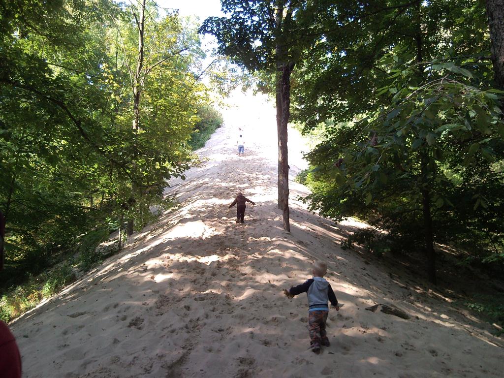 Wilderness Wanderings: Mt. Randall Trail (Warren Dunes State Park) (9/4/09)