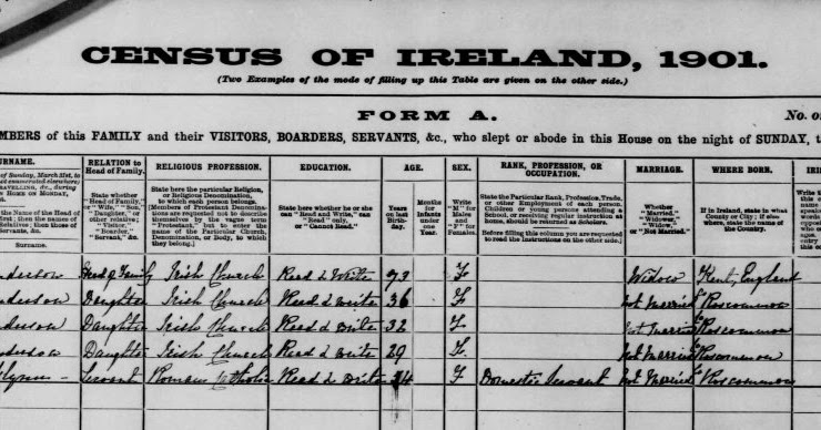 1901 Census Ireland