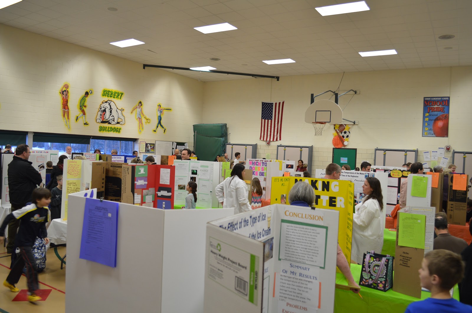 Science: It's All Elementary: Organizing a Successful Science Fair