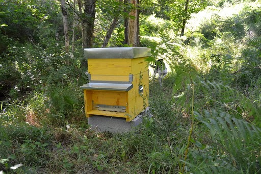 apeperamica: Tre arnie diverse