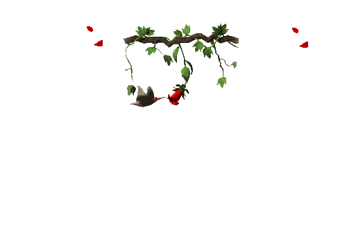 Floaties Flores e Folhas - Cia dos Gifs