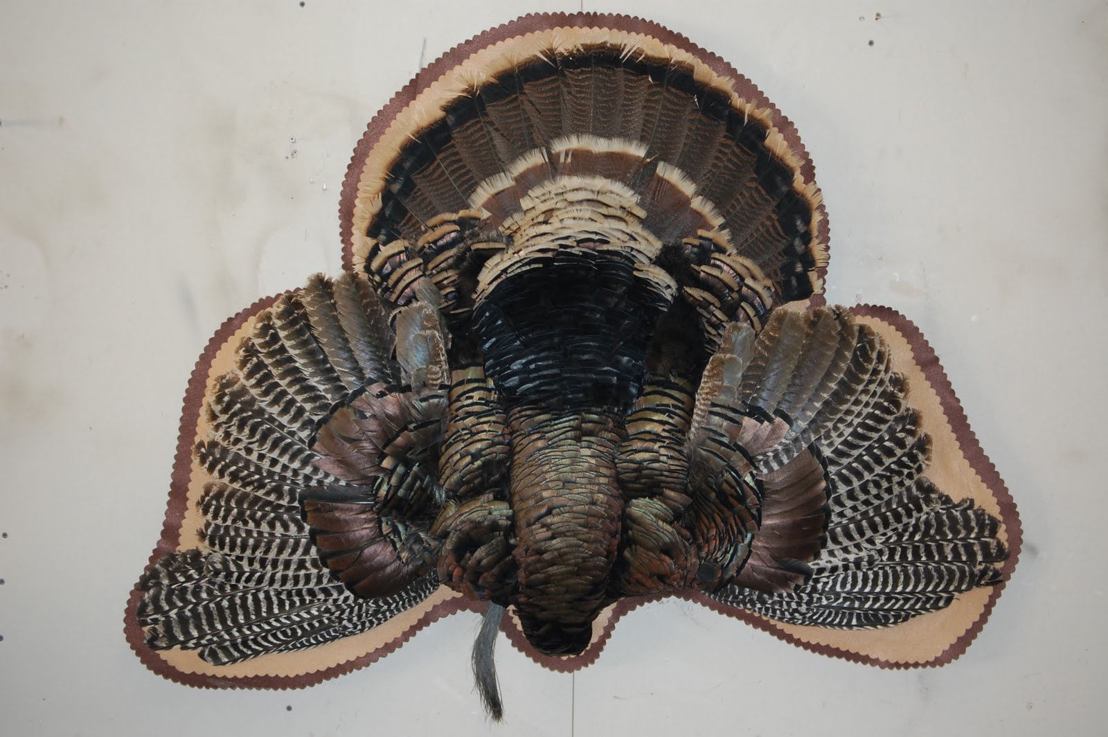 Turkey | Elk Horn Specialties