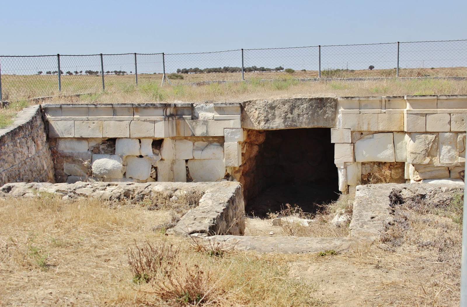 Biodiversity of Cyprus by NGO Protection of the Natural Heritage and ...