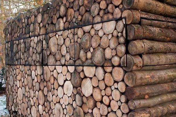 Anda Nampak Ianya Seperti Longgokan Kayu Biasa,Tapi Cuba Anda Pergi ...