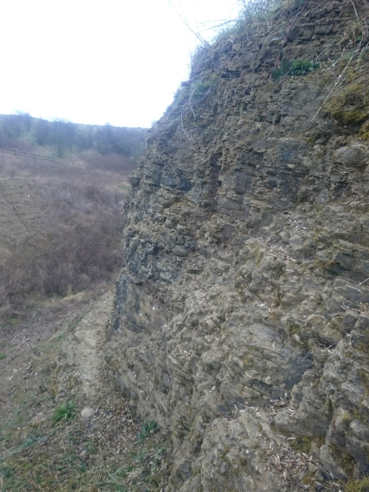 Adventures of a Laura: Sedgley Beacon