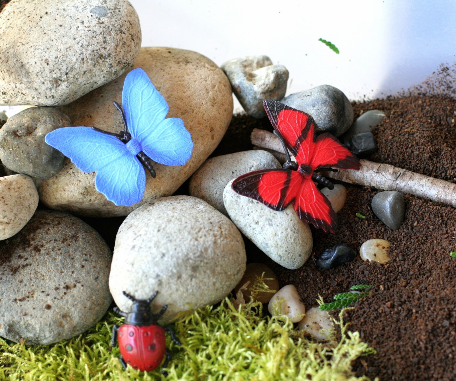 Simple Small Worlds: Insect World