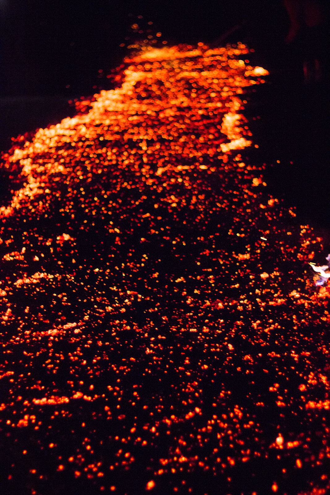 Petra Colberg: Glühende Kohlen - wie man darüber läuft, anstatt darauf ...