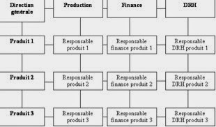 TCEHOME: La structure organisationnelle de l’entreprise