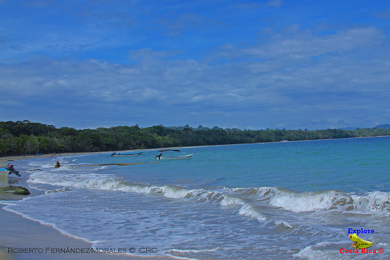 Manzanillo de Limón | Explore Costa Rica