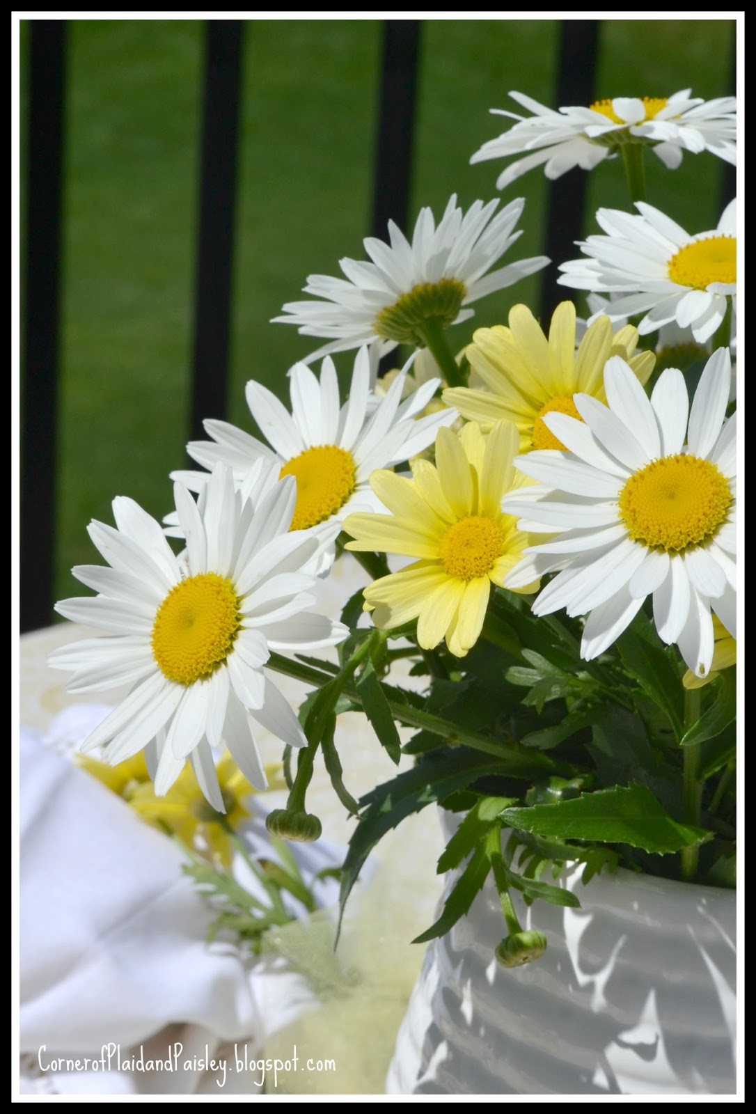 Summer Daisy Table - Corner of Plaid and Paisley