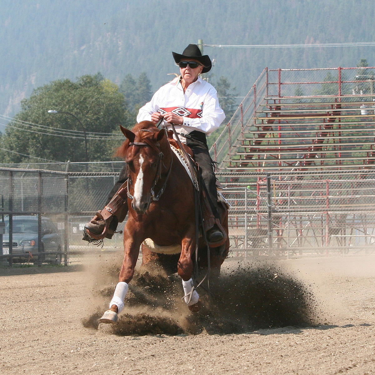 Reining Training Tips ~ ~: Stop Fix #6: Stay Soft in Bridle in Stop