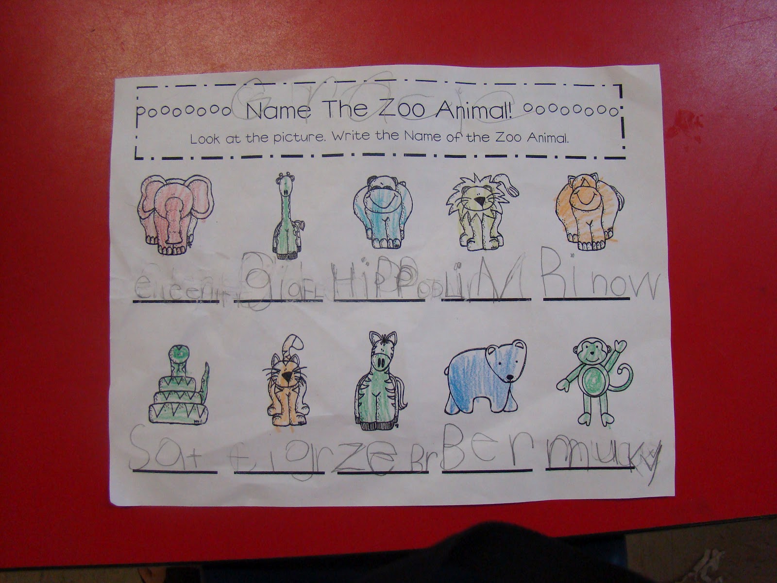 Mrs. Bearden's 2nd Grade Class: We Went to the ZOO!
