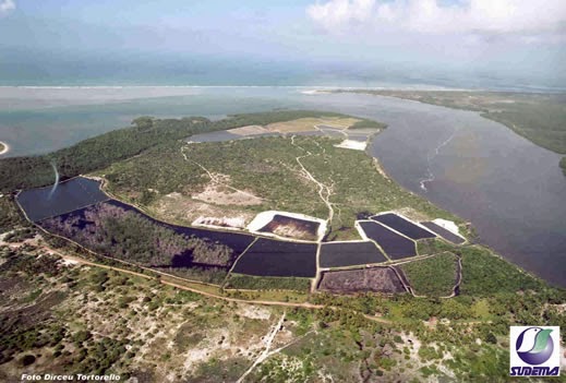 Turismo Brasileiro (Especialmente no Nordeste): Copa do Mundo: Destino ...