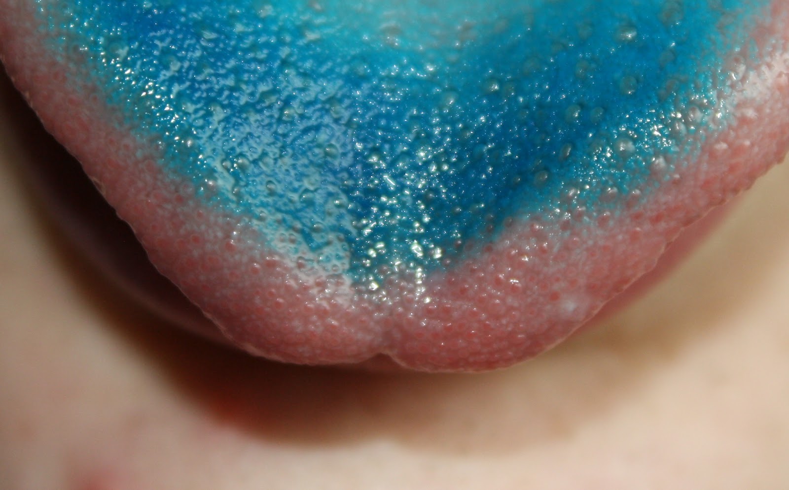 Once Upon a Family: Super Tasters