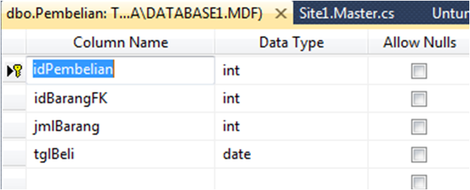 Membuat Database pada Visual Studio 2010 | vikachew09