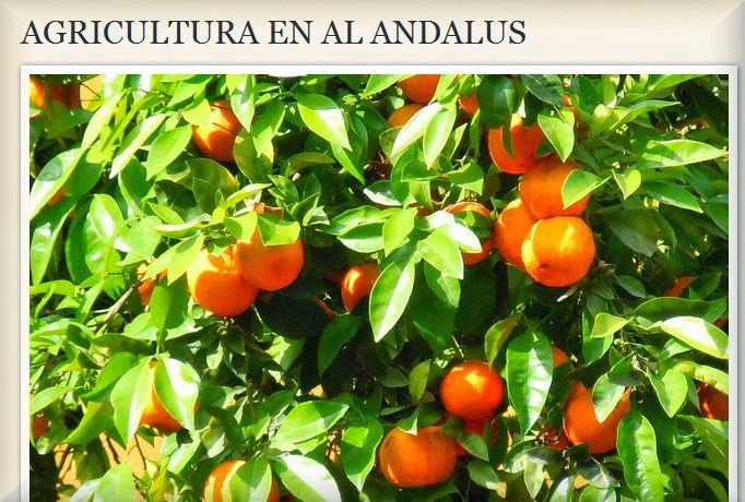GEOHISTORIA 2º ESO: AL-ANDALUS