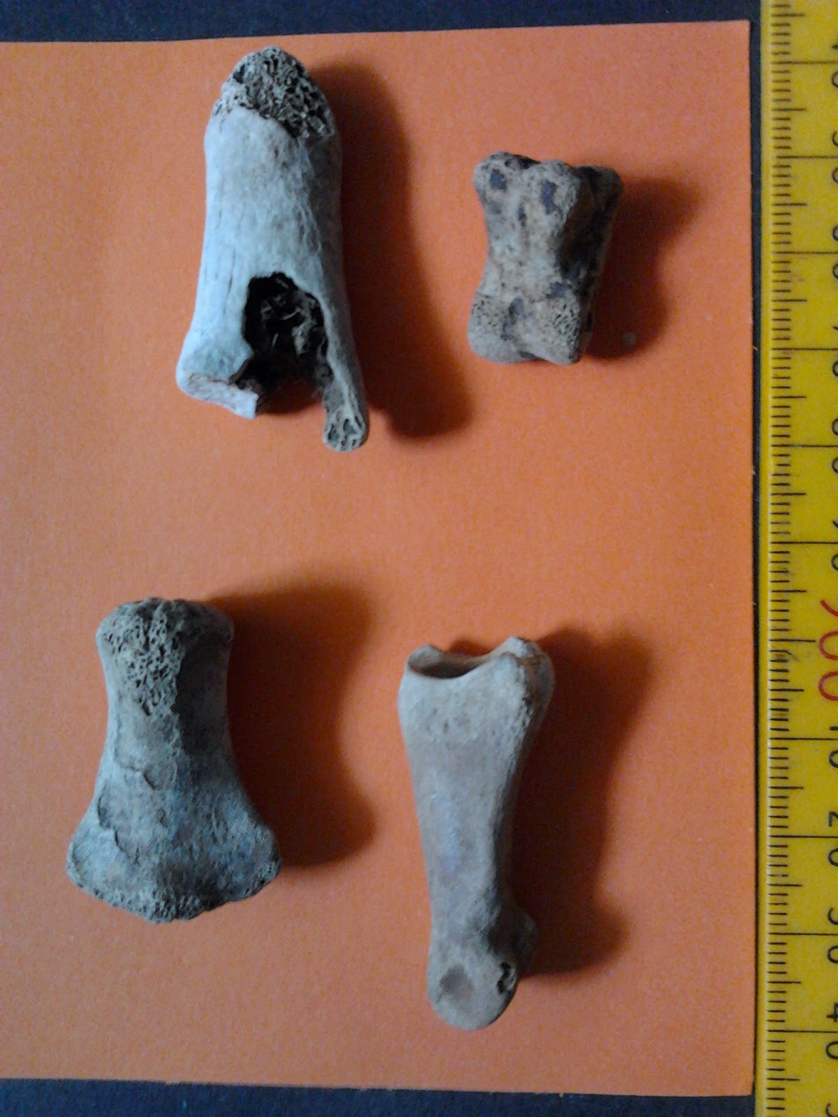 Aboriginal Prehistory Central Qld Area: Origins