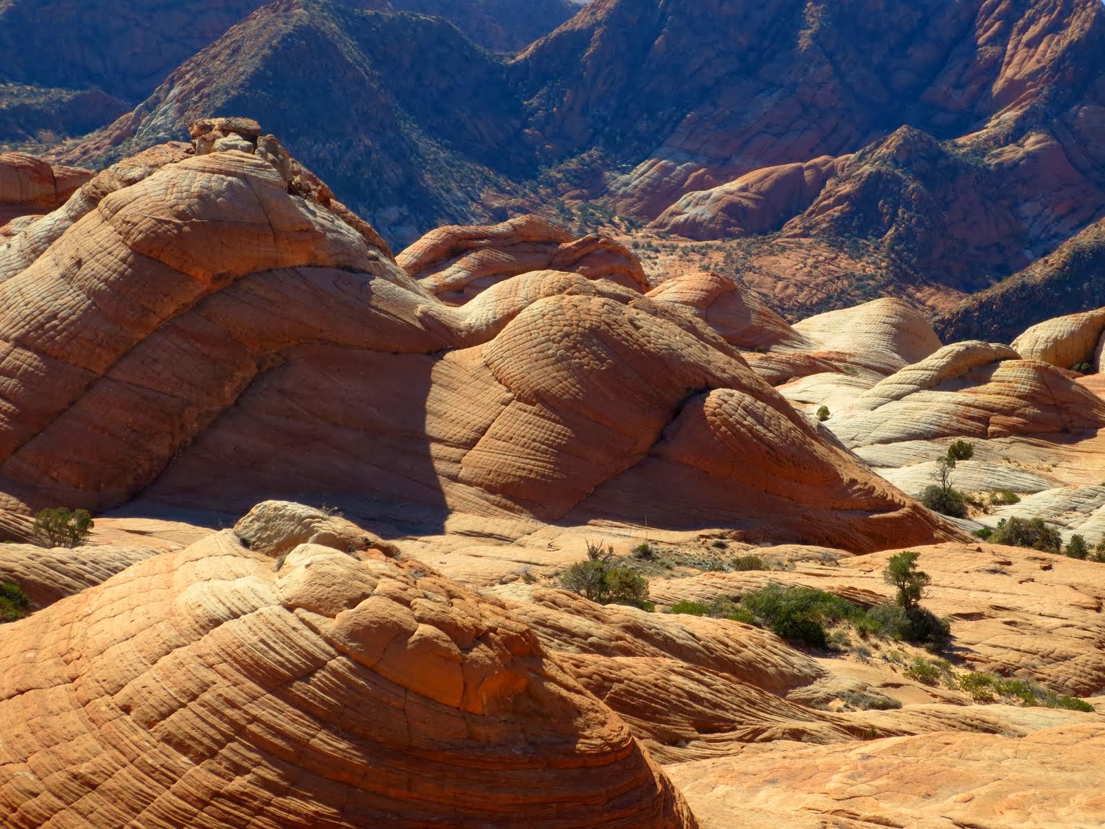 Journeys: Red Cliffs Desert Reserve, Yant Flat, and Mojave Desert ...