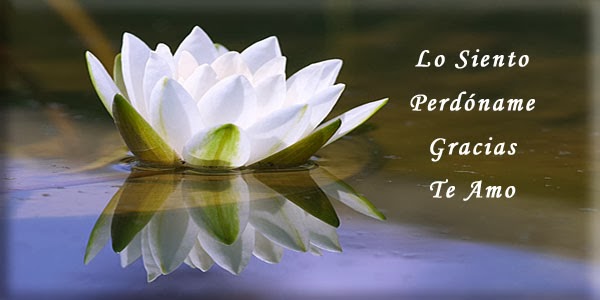 Abundancia, Amor y Plenitud : APLICANDO LA TECNICA DEL HO'OPONOPONO EN ...