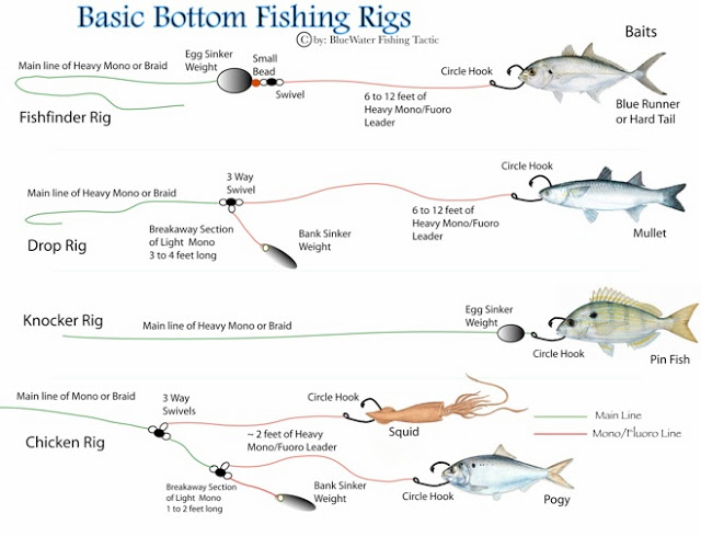Various Kinds Of Fishing Techniques | GHAZUTH