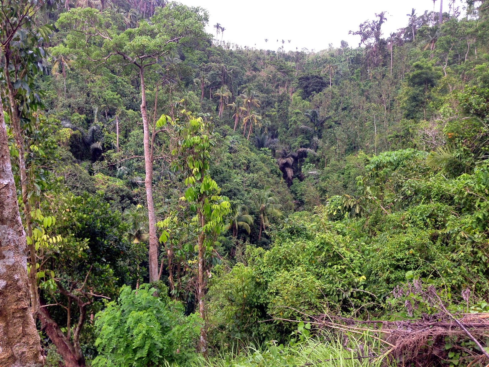 Zarene's Travel: Calijon Falls in Malvar, Batangas