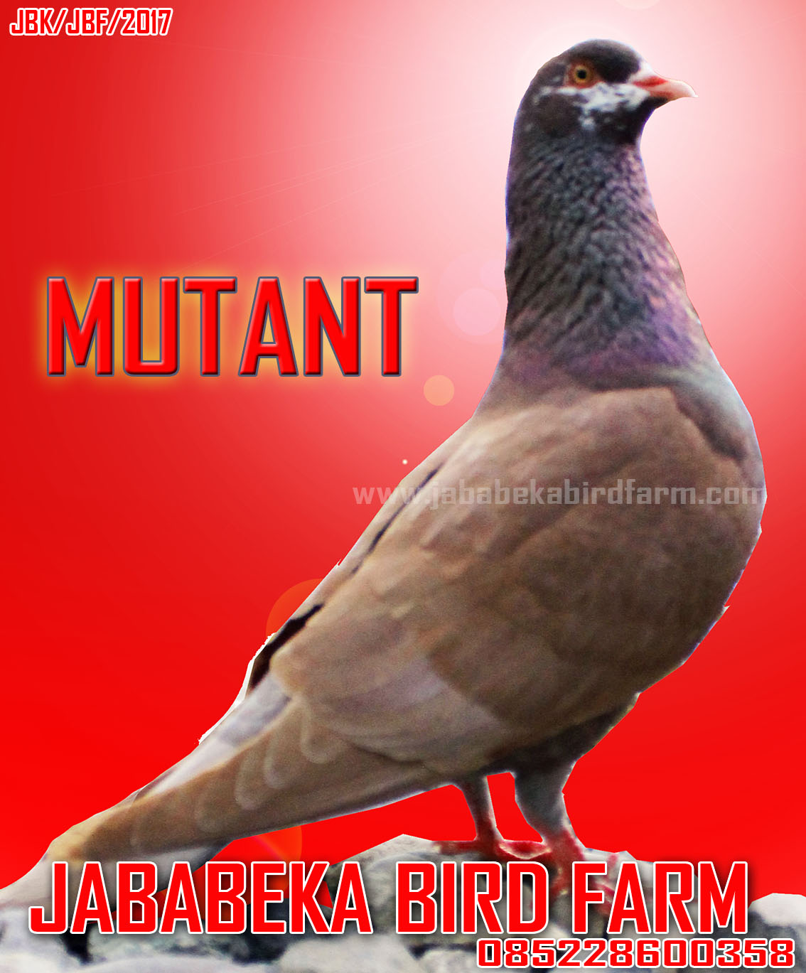 msaarchitects - Blog