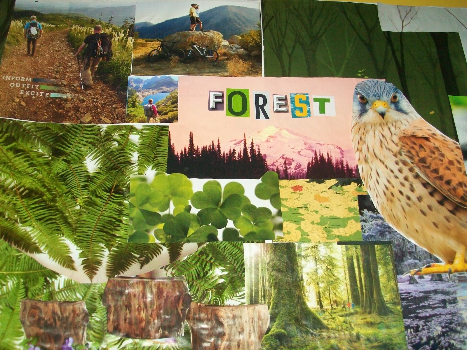 My CMLC News!: Eco - System collages at Westmoreland!