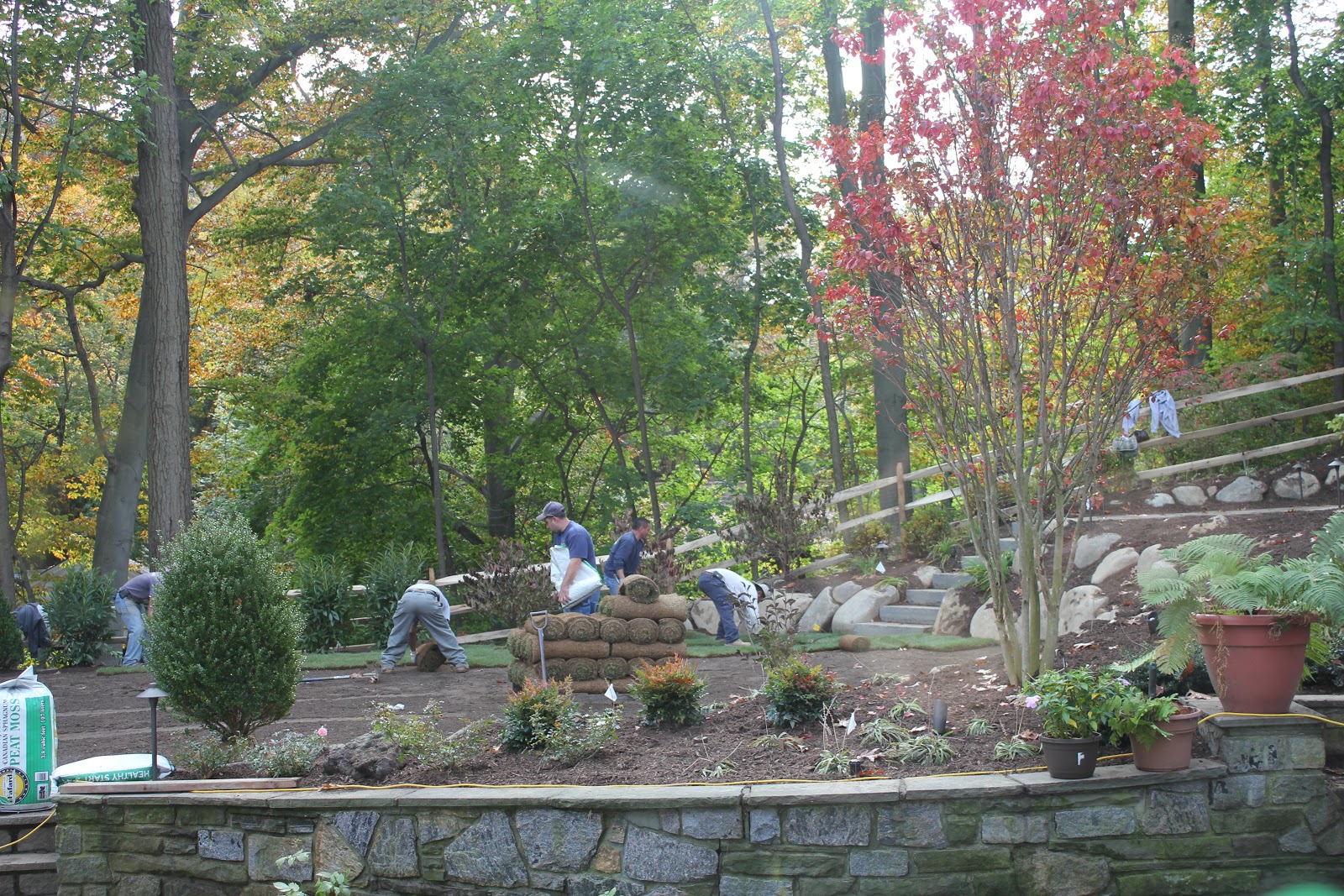 Gardening and Gardens: Backyard Renovation: Complete!