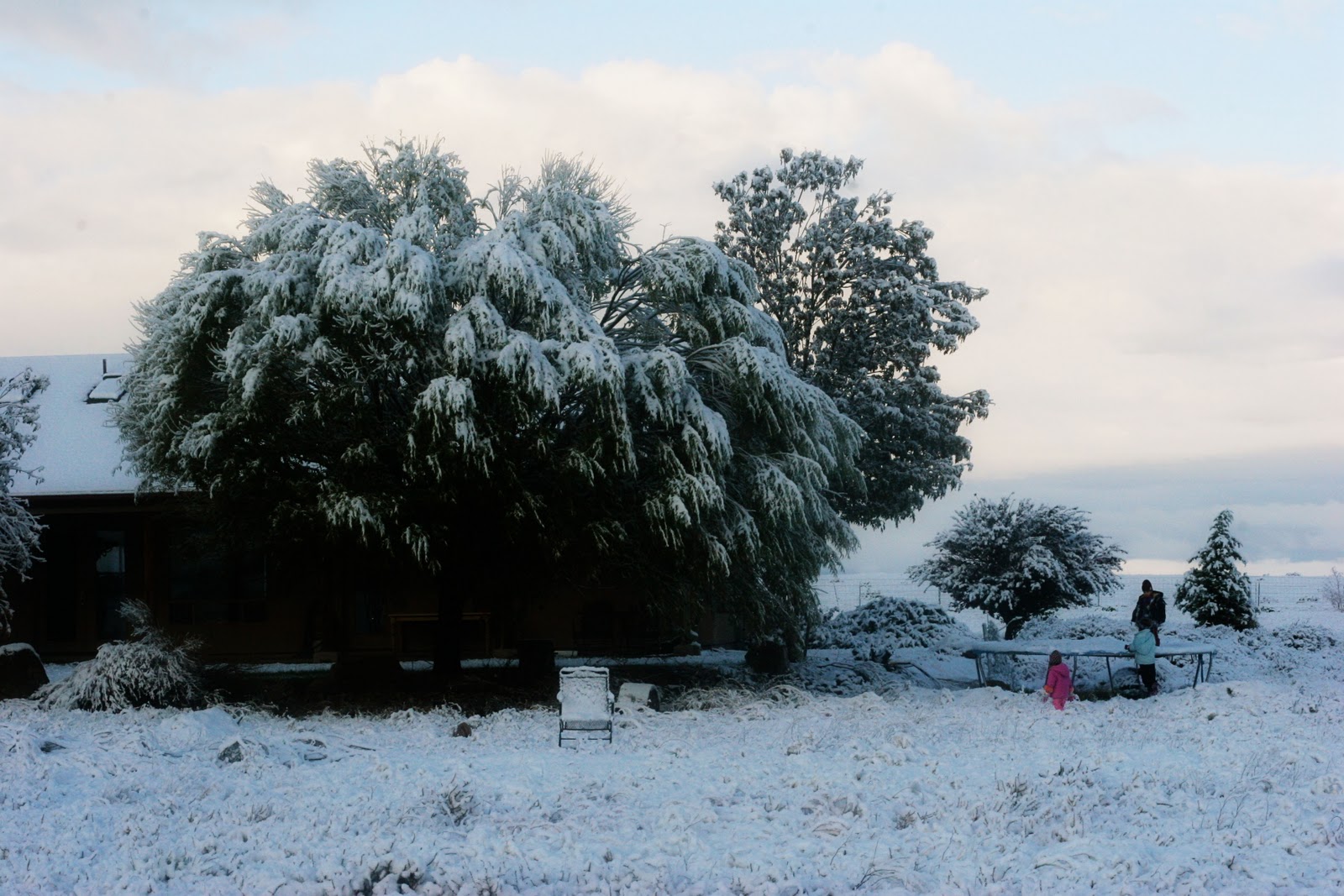 The Nelson Family Blog