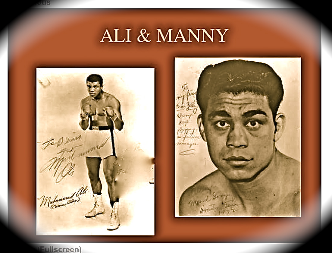 THE CHAMPION BOXERS: CANADIAN BOXERS 1971