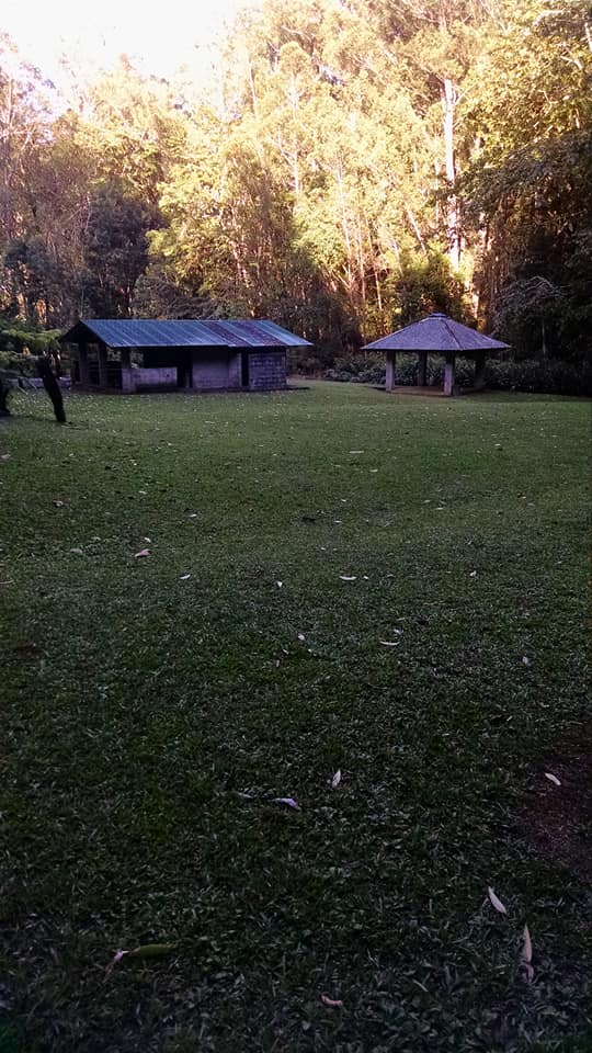 Adventure Travel; "Into the Pacific": Kalopa State Recreation Area ...