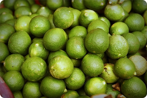 PERTANIAN LANJUTAN: JEJAK JENAKA 1