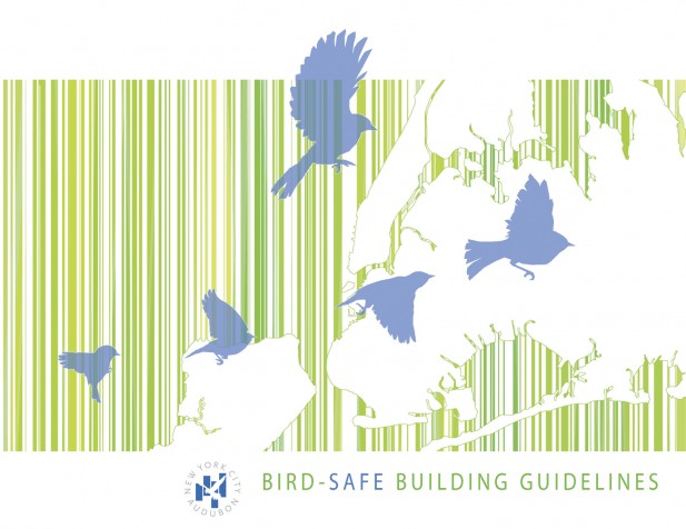 dandelions and concrete: bird safe building design