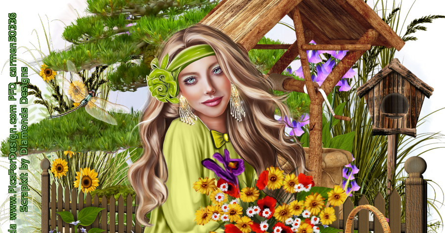 Carmen designs: Amanda