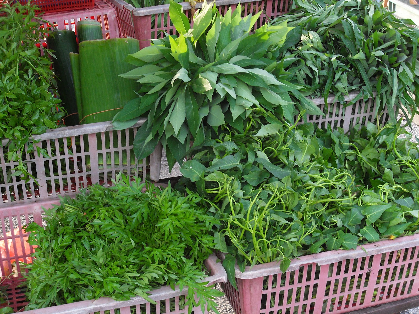 My Africasian Connection: Pasar Tani Kelana Jaya (Farmer's Market ...
