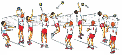 Strength and Conditioning: Needs Analysis