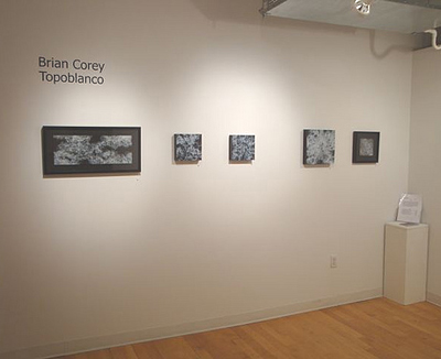 MAKING THE ART SEEN artSPACE@16 ONLINE Gallery: Featured Artist: Brian ...