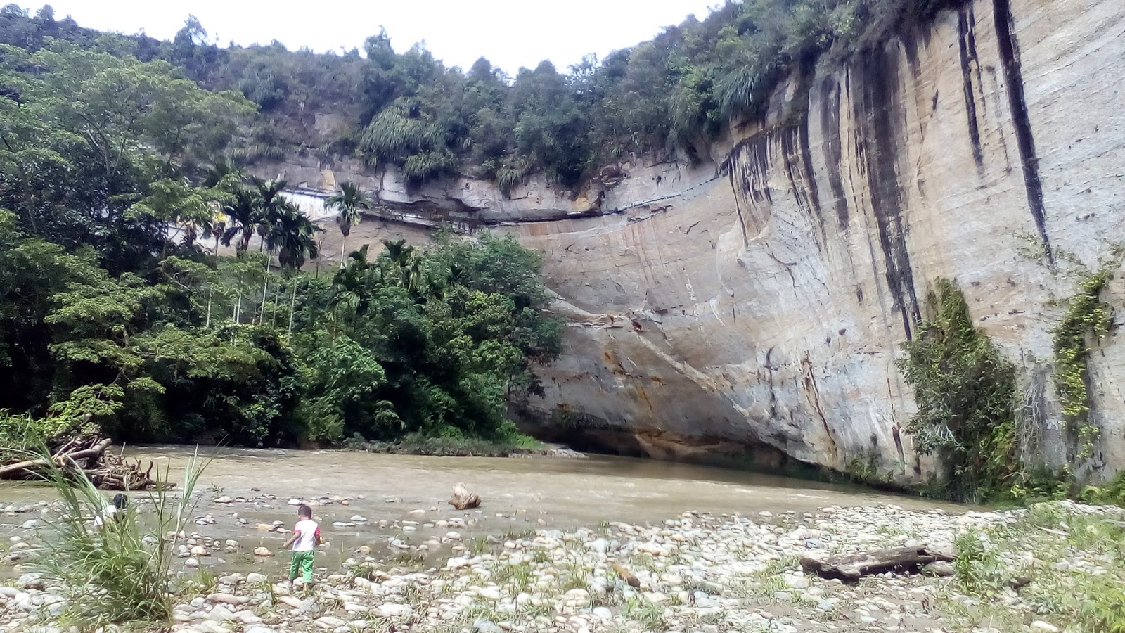 Ngarai Sialang Batu - Anak Nagari Sialang