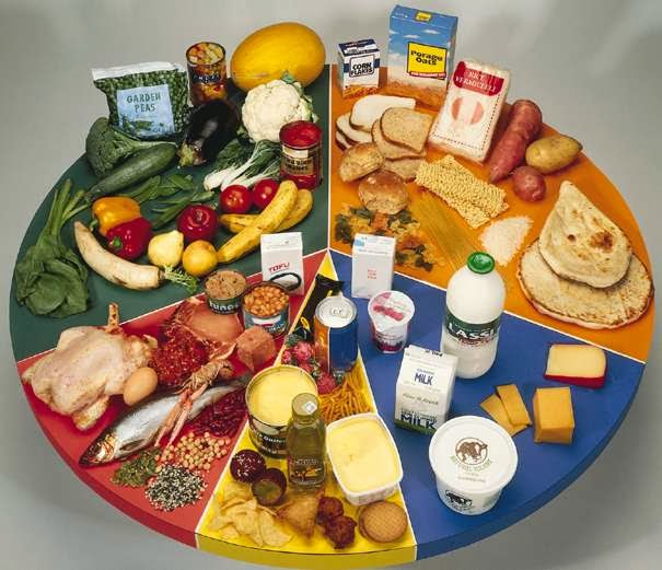 Encompass Nutrients: The Best Ways on How to Maintain a healthy Diet ...