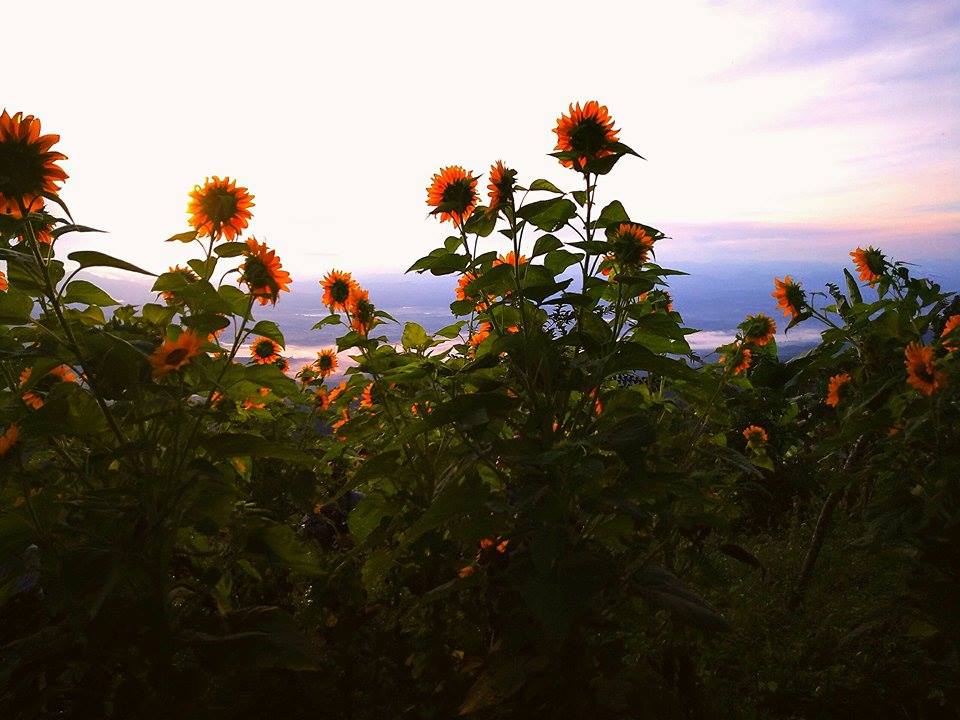 Kalon Barak Skyline Ridge, Malungon Sarangani Province - Beautiful Mindanao