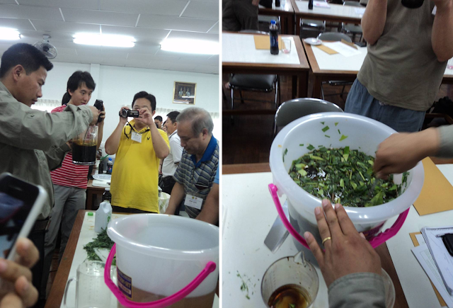 HARBEST: Make your own Foliar Fertilizer