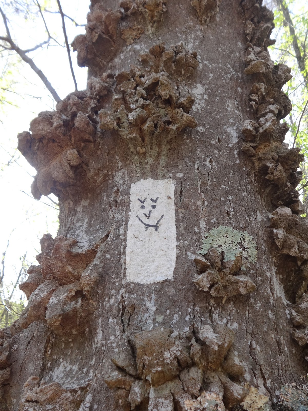 Appalachian Trail Section hiking: Ashby Gap to Snickers Gap
