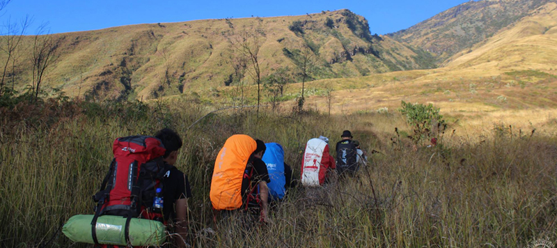 Plat-G Adventure | About your Blog