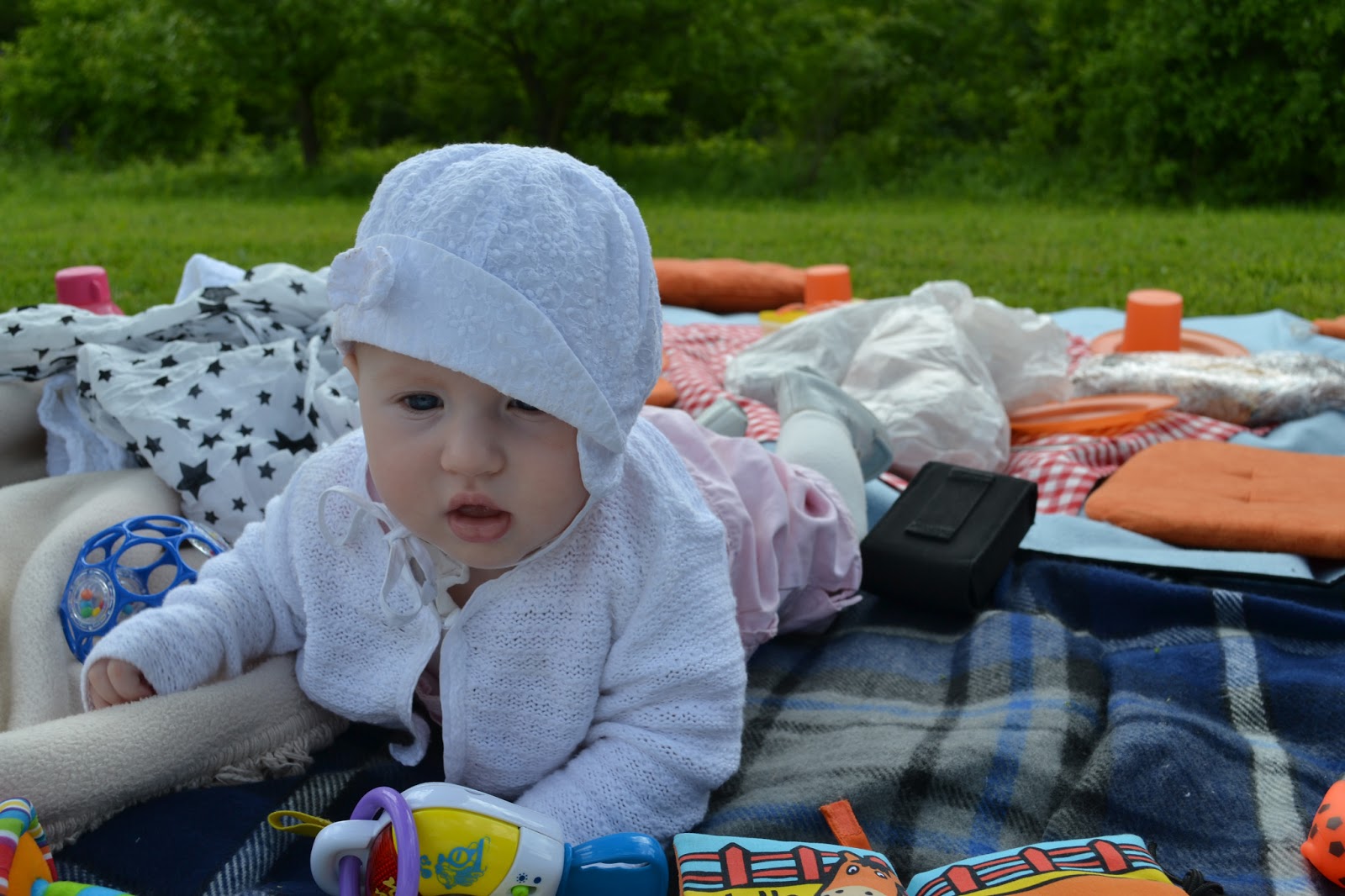 Familie Apfel: Picknick am Kripl