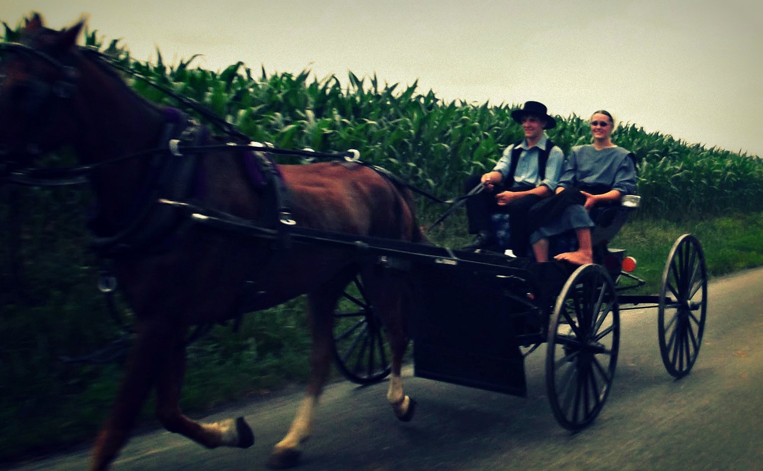 Lancaster, PA: ABC's - Amish, Buggies and Corn - Road Pickle