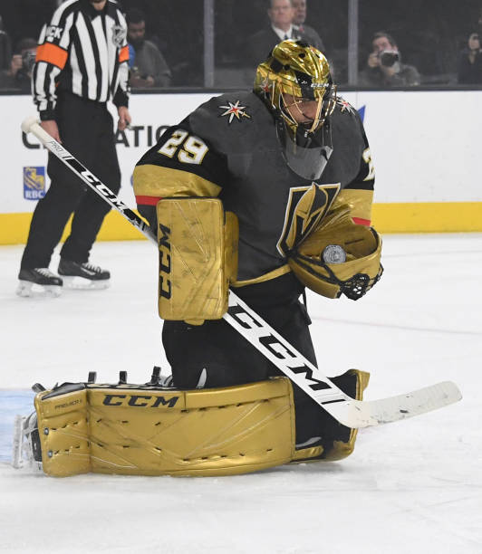 I Love Goalies!: Marc-Andre Fleury 2018-19 Mask