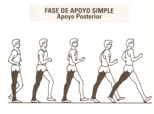 PEDAGOGÍA Y DIDÁCTICA DEL ATLETISMO: MARCHA ATLETICA