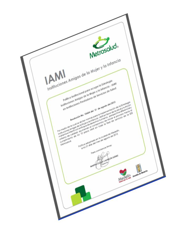 INFO MANRIQUE: QUE ES LA IAMI?